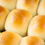 Dinner Rolls Best Homemade Recipe | Oh My Food Recipes