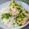 White Cut Chicken (白切雞) - Oh My Food Recipes