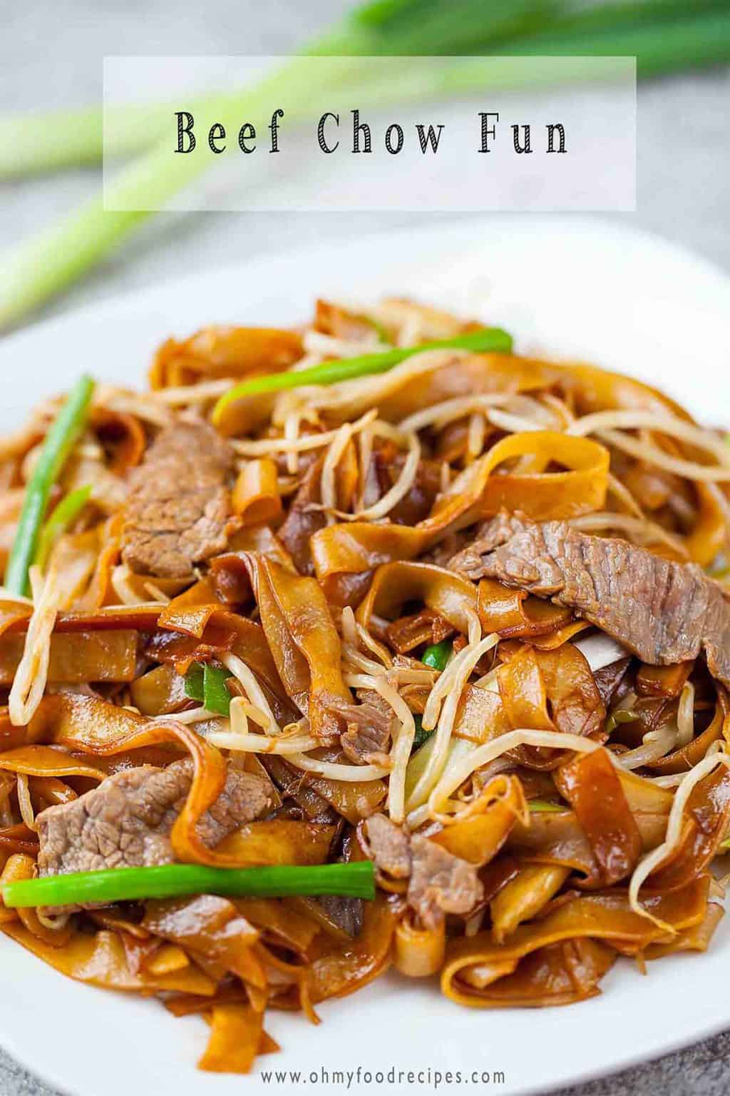 Beef Chow Fun (乾炒牛河) Gon Chow Ngau Ho | Oh My Food Recipes