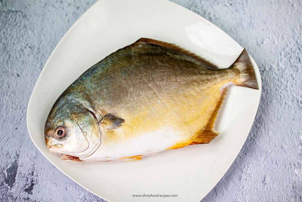 Steam Fish (蒸魚) Golden Pomfret Recipe - Oh My Food Recipes