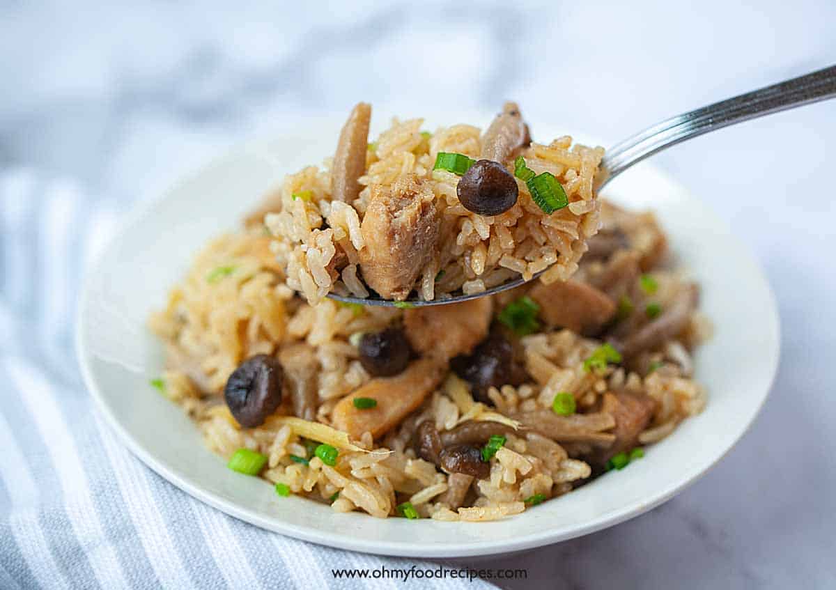 Sesame Oil Chicken Rice Recipe - Oh My Food Recipes