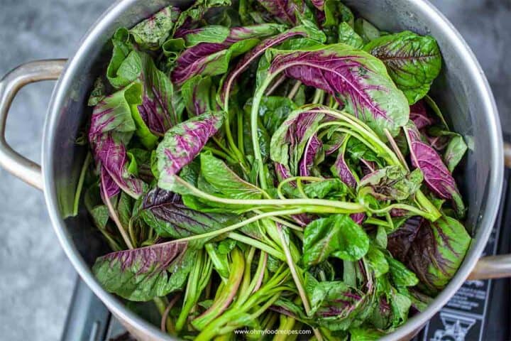 Chinese Spinach Amaranth (Yin Choy Stir Fry) 莧菜- Oh My Food Recipes
